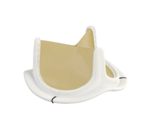 RG Meditron Inc. – Service with a heart