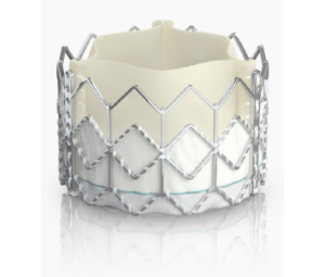 RG Meditron Inc. – Service with a heart